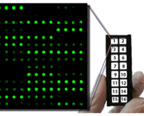 Glycan Arrays | Chemily Glycoscience
